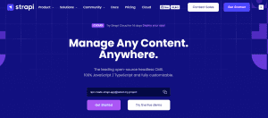 Best Headless CMS for Vue.js in 2024